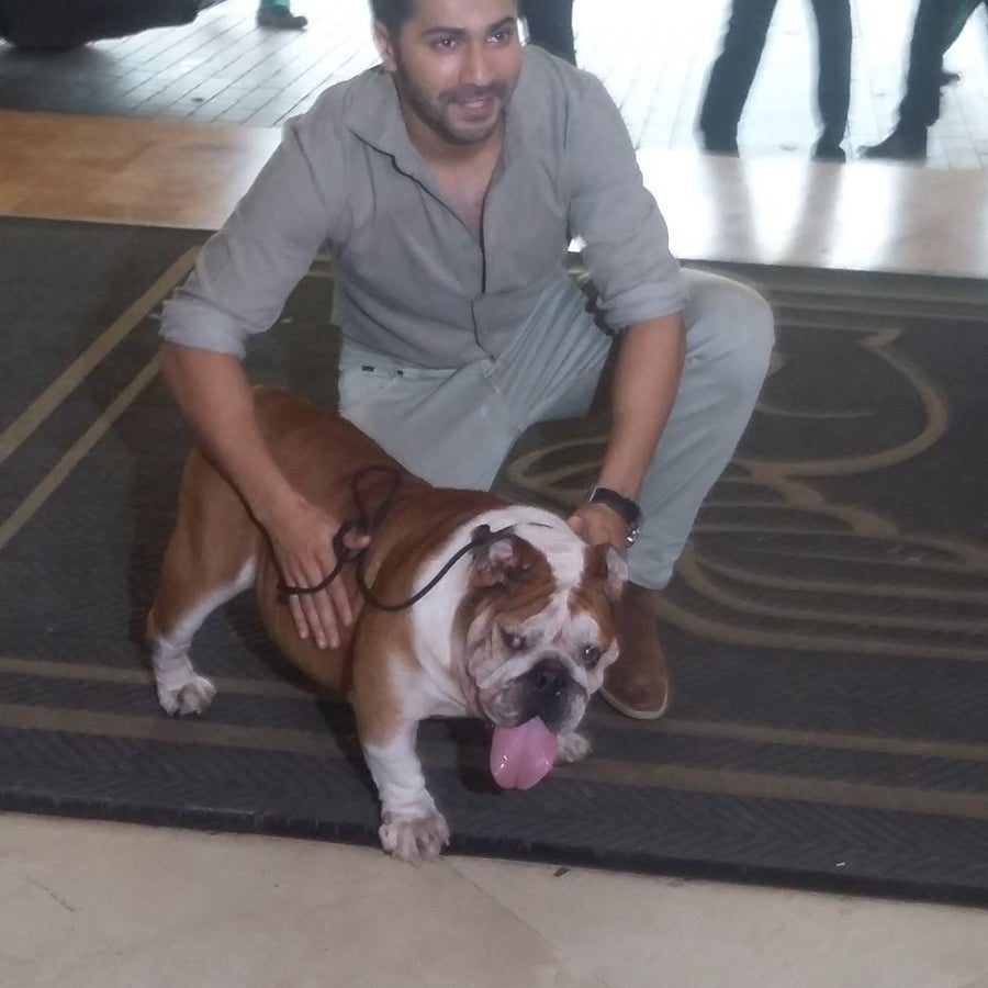 This Dog Fooled Varun Dhawan And John Abraham Into Believing That He's ...