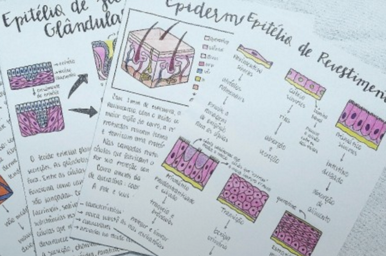 18 Gorgeous Study Notes That Should Be Framed As Art