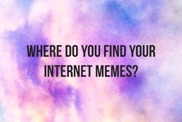 Which 2016 Meme Are You?