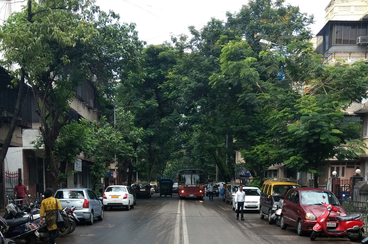 We Asked People To Capture Their Gully In One Single Photo