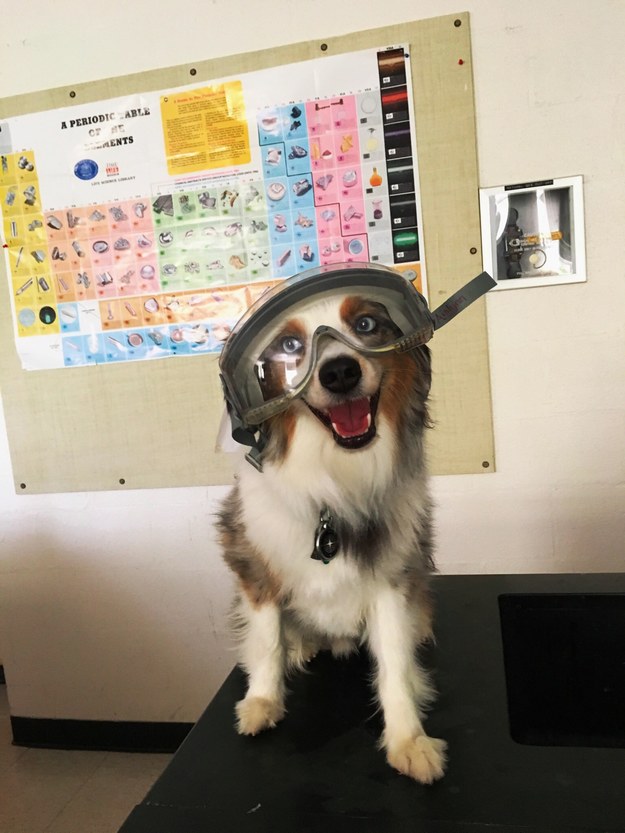 Sarah Caughey on BuzzFeed