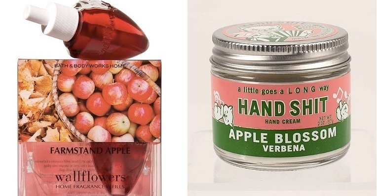 22 Reasons You Should Be Obsessed With Apple This Fall