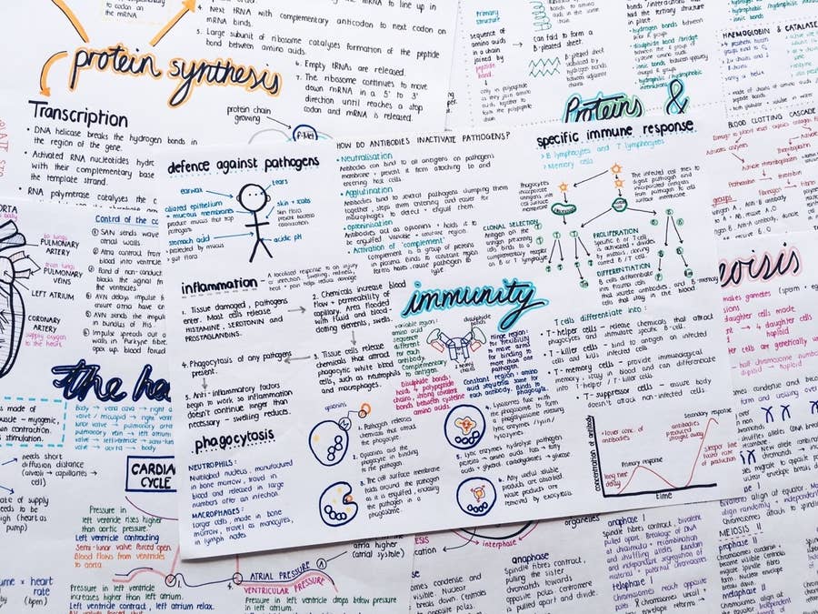 studypur handwritten notes