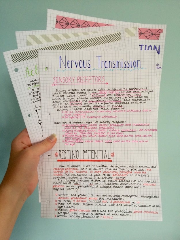18 Borderline Orgasmic Study Notes You'll Fall In Love With