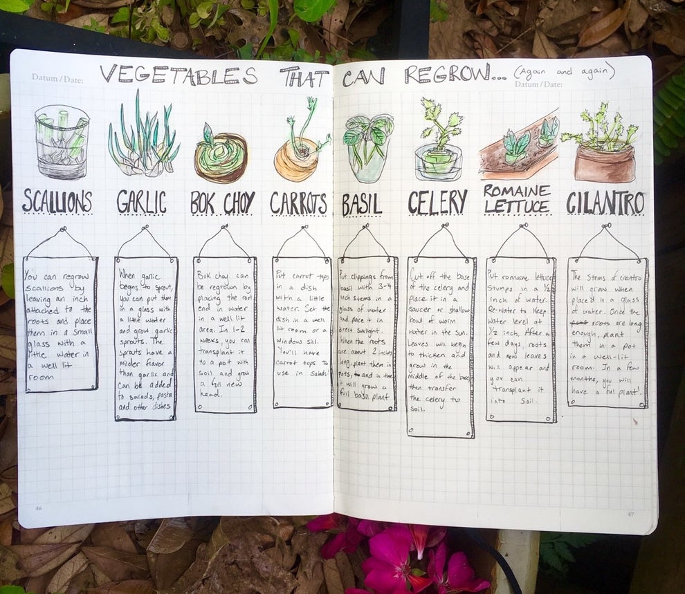 18 Gorgeous Study Notes That Should Be Framed As Art