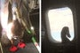 This Guy Had An "Emotional Support Duck" On His Plane And It's Adorable ...