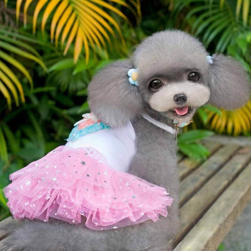 28 Of The Best Pieces Of Clothing For Dogs On Amazon