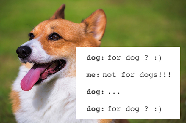 22 Tumblr Posts That Perfectly Sum Up Every Dog Owner's Life