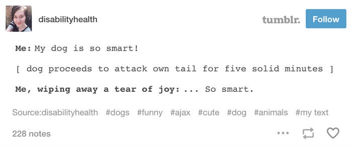 22 Tumblr Posts That Are Way Too Real For Every Dog Owner