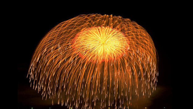 Do You Know The Real Names For These Types Of Firework?