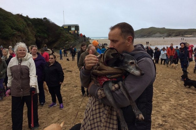 Hundreds Joined Walnut The Dog For His Heartbreaking Last Walk On The Beach