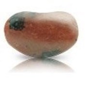 Can You Pick The Bertie Botts Every Flavour Bean That Tastes Like Vomit?