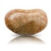 Can You Pick The Bertie Botts Every Flavour Bean That Tastes Like Vomit?