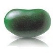 Can You Pick The Bertie Botts Every Flavour Bean That Tastes Like Vomit?