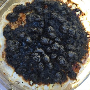 We Want To See Your Epic Thanksgiving Fails