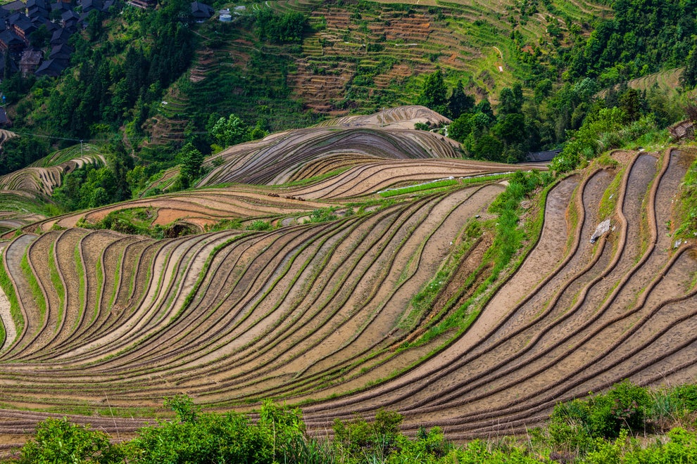 19 Photos Of Rice Terraces Guaranteed To Take Your Breath Away