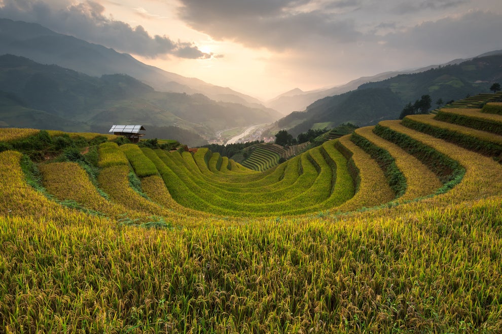 19 Photos Of Rice Terraces Guaranteed To Take Your Breath Away