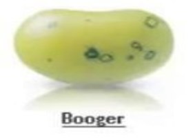 Would You Rather: The Bertie Bott's Every Flavour Beans Edition