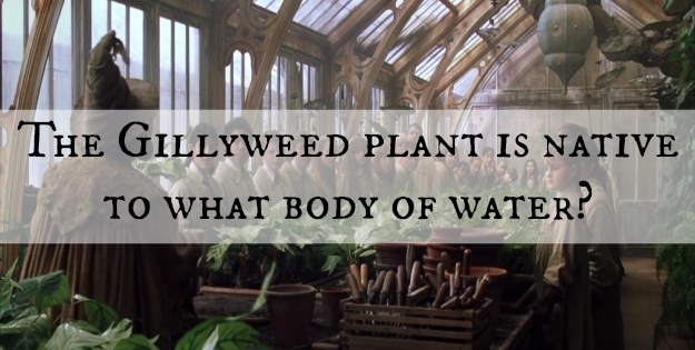 Could You Pass Your "Harry Potter" Herbology O.W.L.?