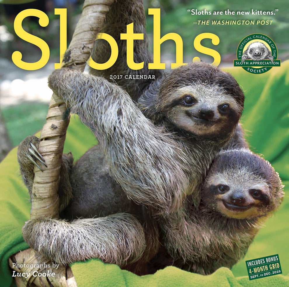 27 Adorable Gifts For People Who Love Sloths