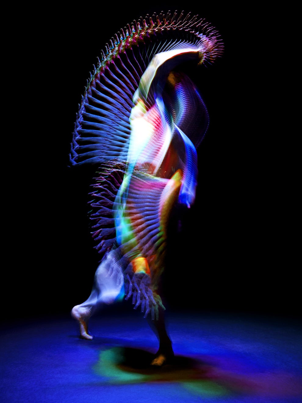 The Most Stunning And Creative Photos Of Dancers From 2016