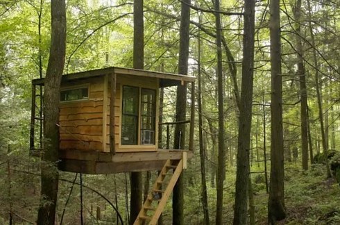 25 Amazing And Affordable Treehouses You'll Want To Rent For Your Next ...