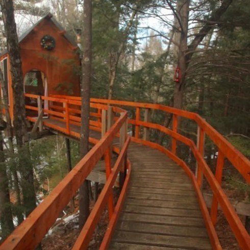 25 Amazing And Affordable Treehouses You'll Want To Rent For Your Next ...