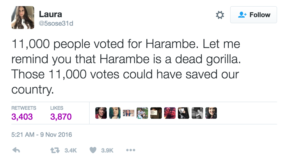 14,000 People Probably Didn't Vote For Harambe To Be The Next US President