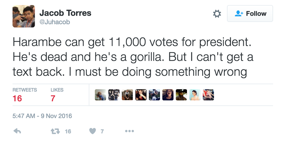 14,000 People Probably Didn't Vote For Harambe To Be The Next US President