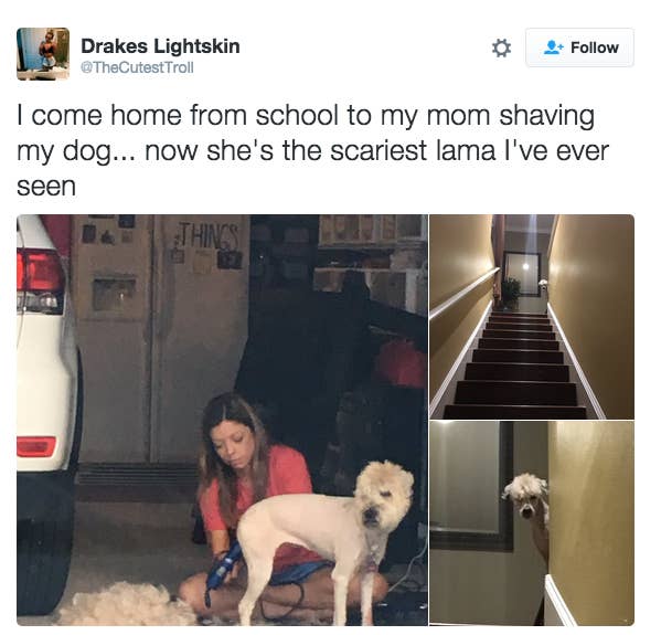 19 Of The Best Mums On The Internet Ever