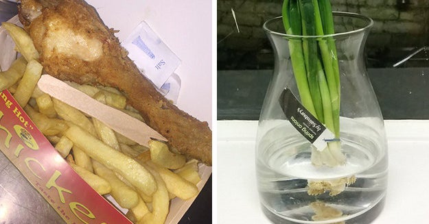 17 People Who Regret Making An Order In 2016