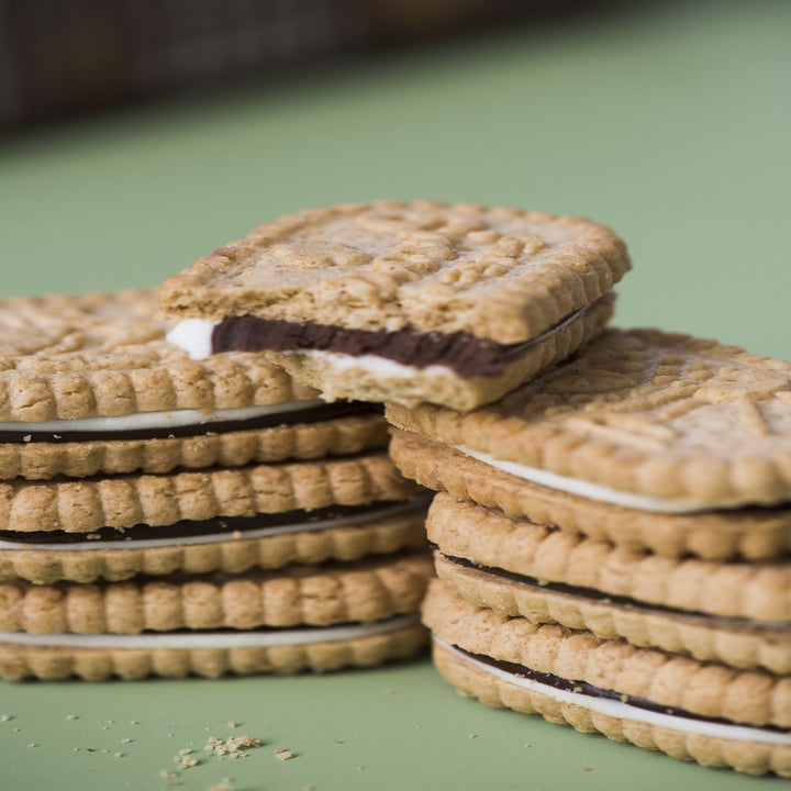 2017 Might Not Suck Because There's Going To Be A Girl Scout S'Mores Cookie