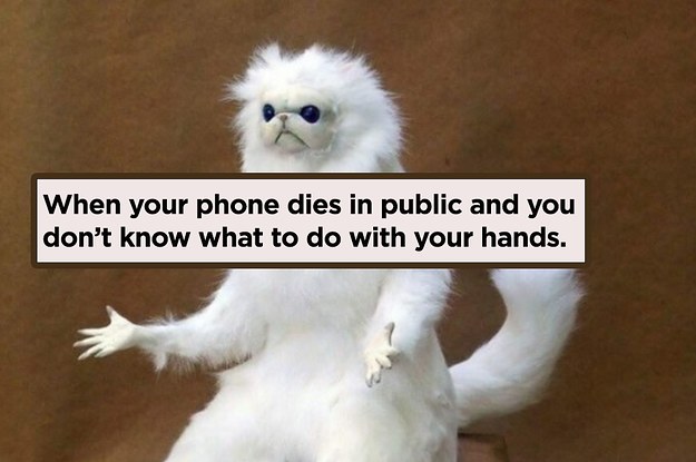 23 Times Socially Awkward Taxidermy Made You Go "Welp! That's Me!"