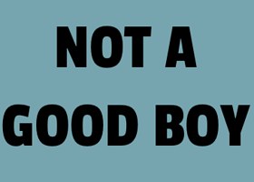 You'll Only Ace This Quiz If You Know Who Is A Good Boy