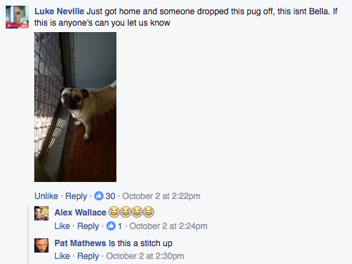 18 Touching Stories That Made All Aussies Cry Happy Tears In 2016