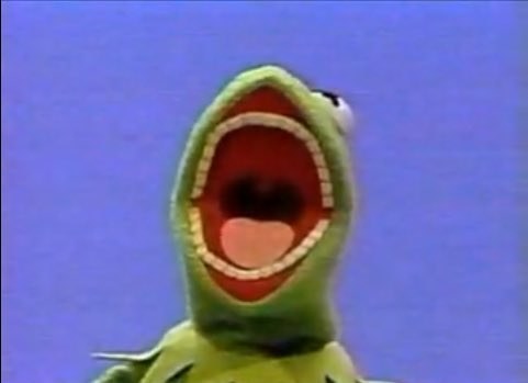 Which Kermit Meme Are You Based On Your Zodiac Sign?