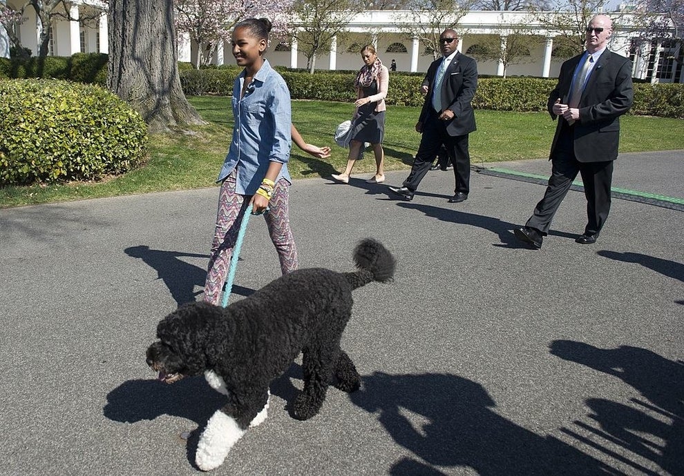 Just 17 Of Bo Obama's Cutest Moments
