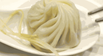 Honestly? Soup dumplings are the greatest food in the world