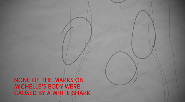 The Mysterious Death Of Michelle Von Emster