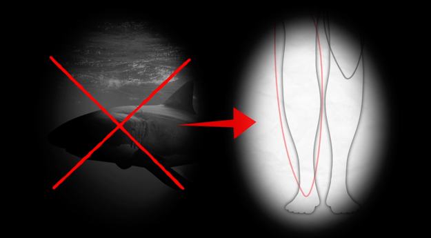 The Mysterious Death Of Michelle Von Emster