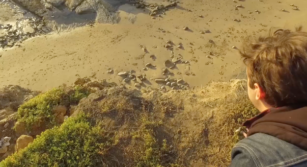 The Mysterious Death Of Michelle Von Emster