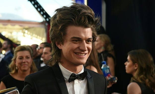 Steve From “Stranger Things” Has Now Achieved The Best Damn Hair Ever