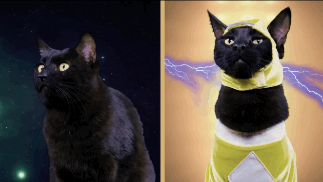 11 Reasons Why The Meower Rangers Are The Heroes We Need Right Meow