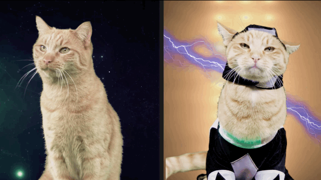11 Reasons Why The Meower Rangers Are The Heroes We Need Right Meow