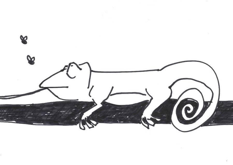 chameleon drawing from memory