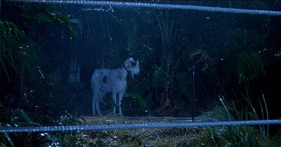 25 Questions About Jurassic Park That We Just Have To Address