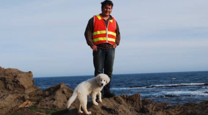 Oddball, The Dog Who Protected Penguins, Has Died Aged 15