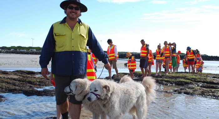 Oddball, The Dog Who Protected Penguins, Has Died Aged 15