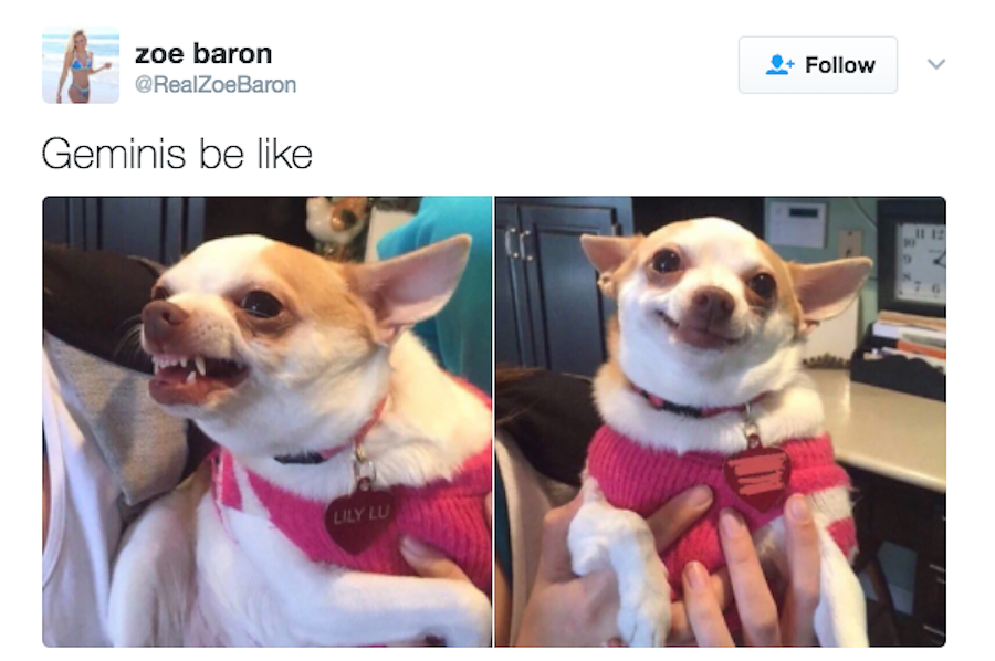 19 Tweets That Will Make Geminis Laugh Harder Than They Should