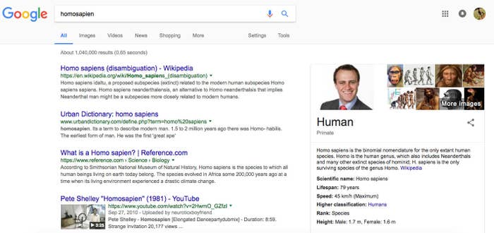 Google Accidentally Made This Random Politician The Most Generic Search ...